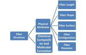 Textile Fibers - the building blocks of the textile industry - Textile ...